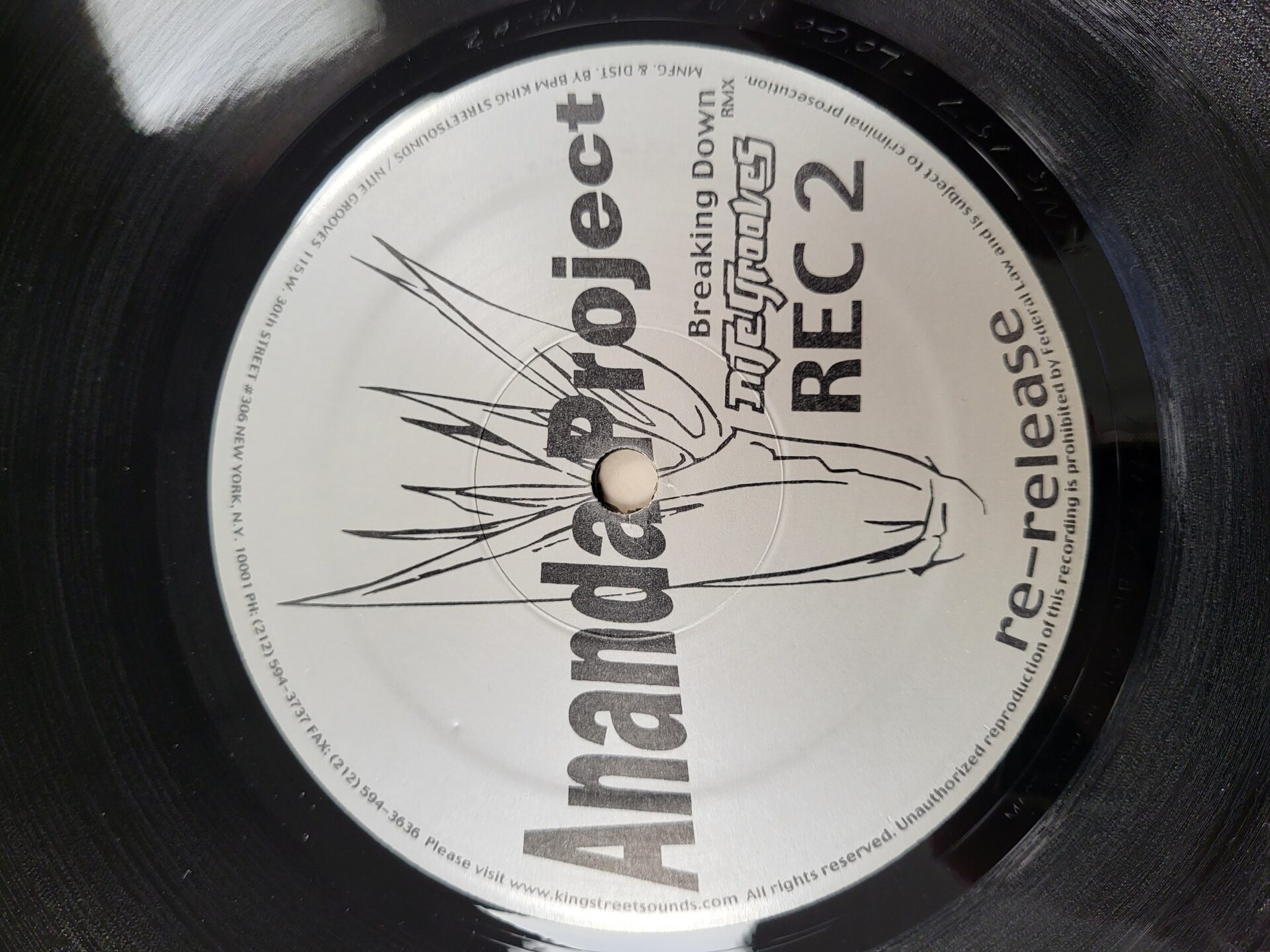 BREAKING DOWN | ANANDA PROJECT – The Vinyl Bard