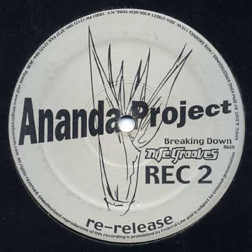 BREAKING DOWN | ANANDA PROJECT – The Vinyl Bard